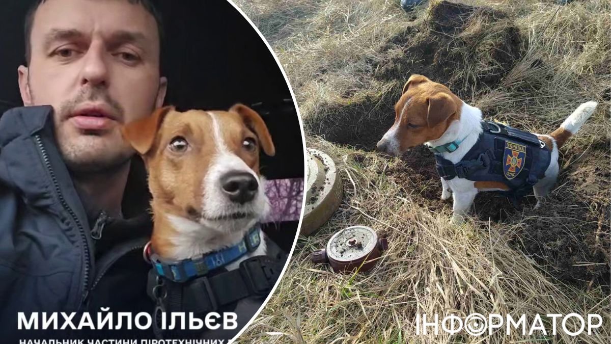 Спасатели опровергли фейки о гибели пса Патрона